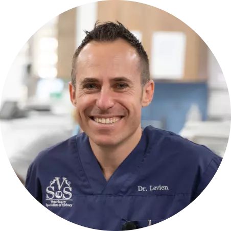 old home - Dr Andrew Levien