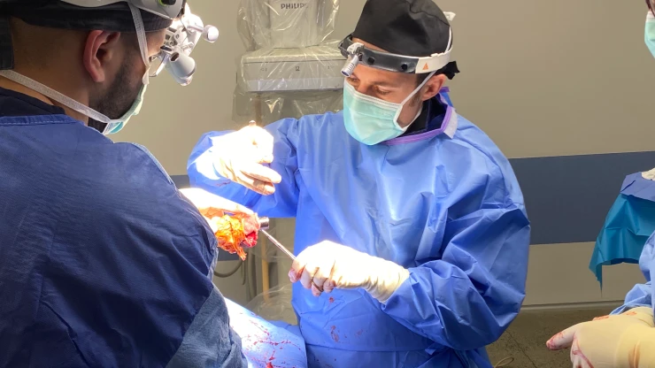 Complex Orthopaedic Surgery for Dogs and Cats